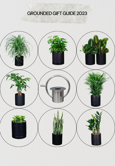Preparing Your Plants For The Growing Season – Grounded