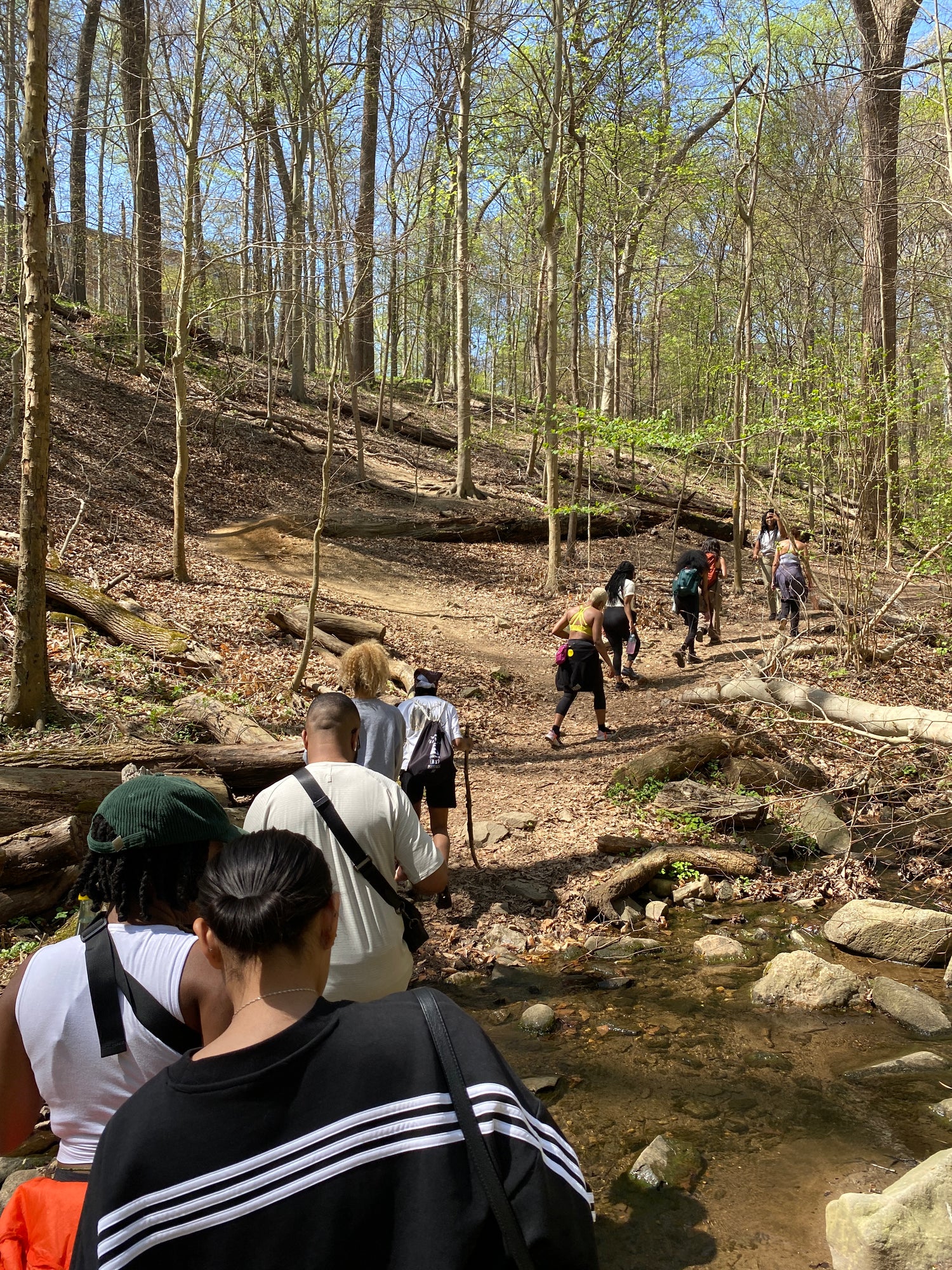 Why It's Important To Engage With Nature – Grounded