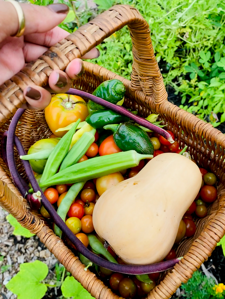 7 Edible Plants That Can Be Grown At Home – Grounded